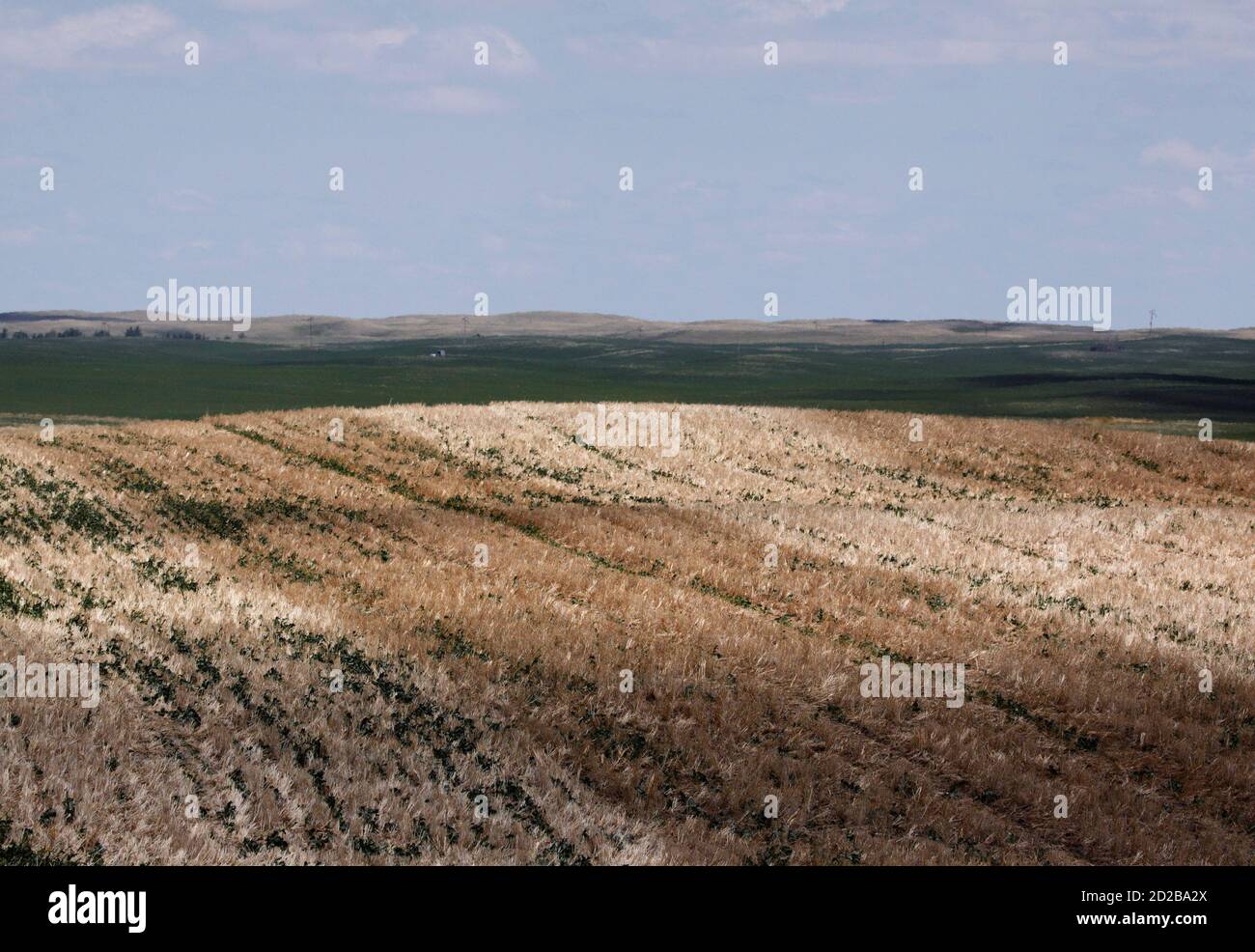 Canadian farmers hi-res stock photography and images - Alamy