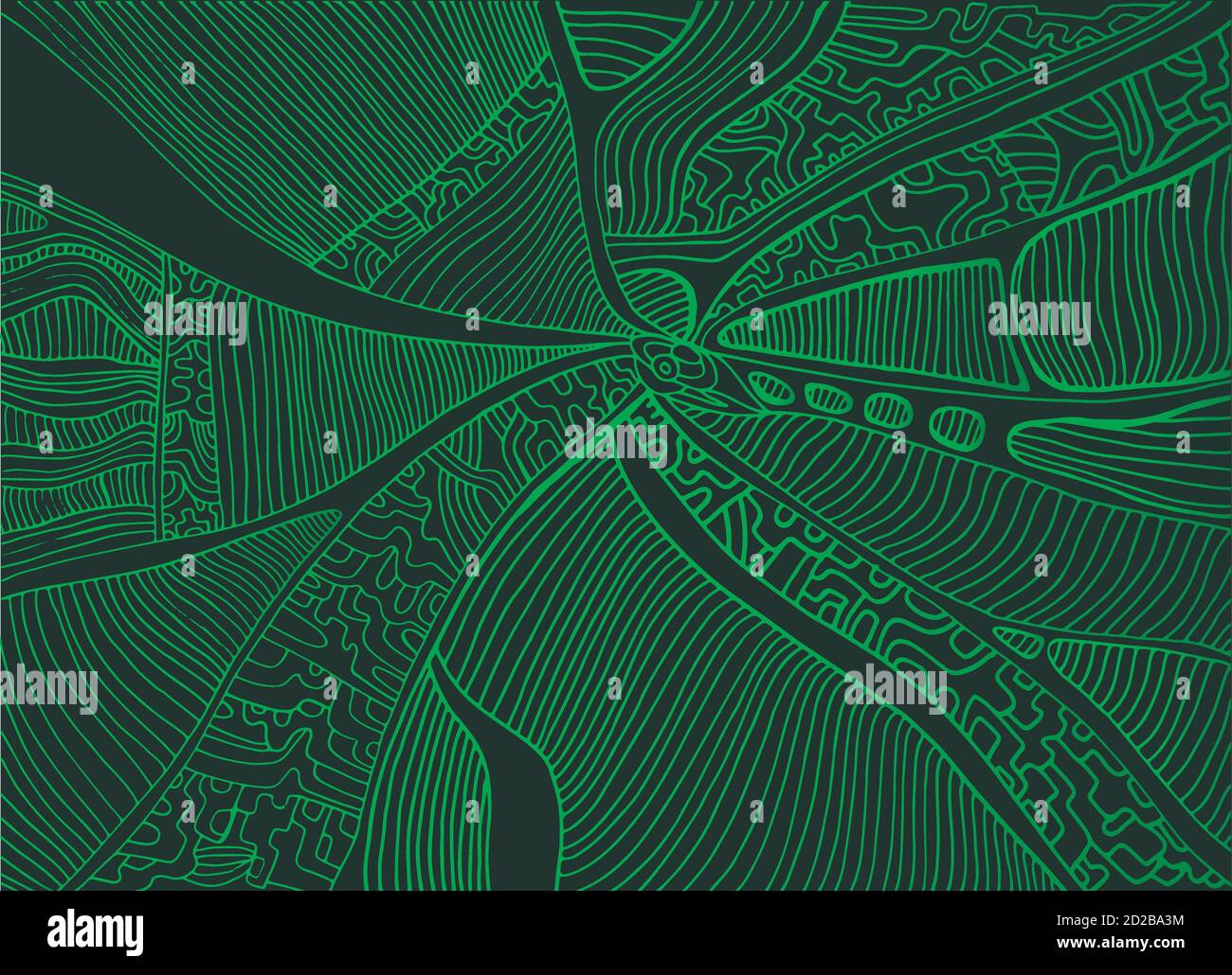Beautiful abstract green line outline, isolated dark green backg Stock ...