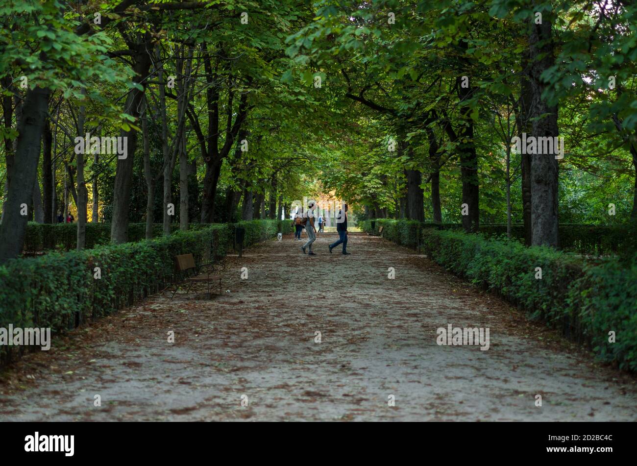 Autumn in the Retiro Park in Madrid, Spain Stock Photo - Alamy