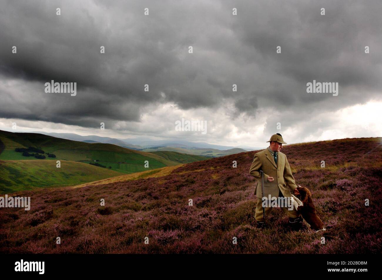 The start of the grouse shooting season hi-res stock photography and ...