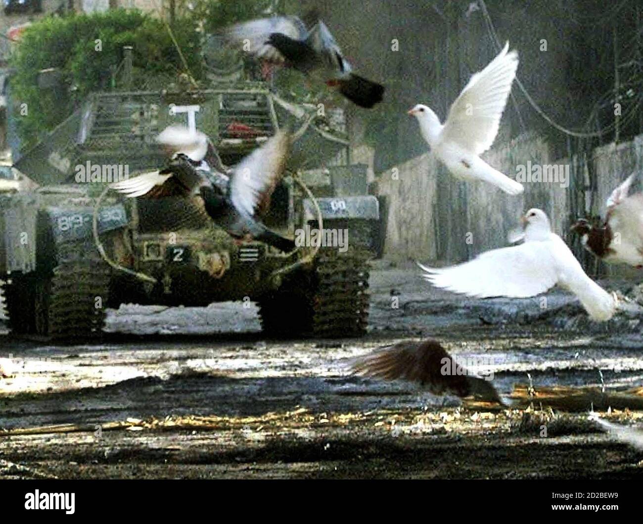 Middle two doves hi-res stock photography and images - Alamy