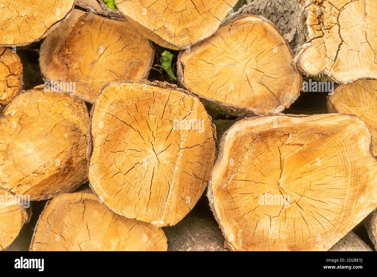 Stack of wooden logs close-up, wooden abstract background Stock Photo ...