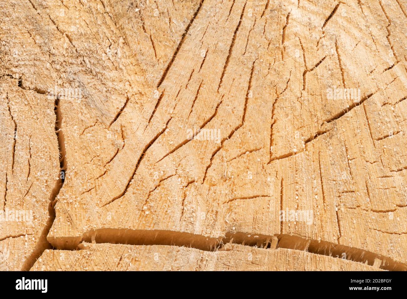 Concentric weathering hi-res stock photography and images - Alamy