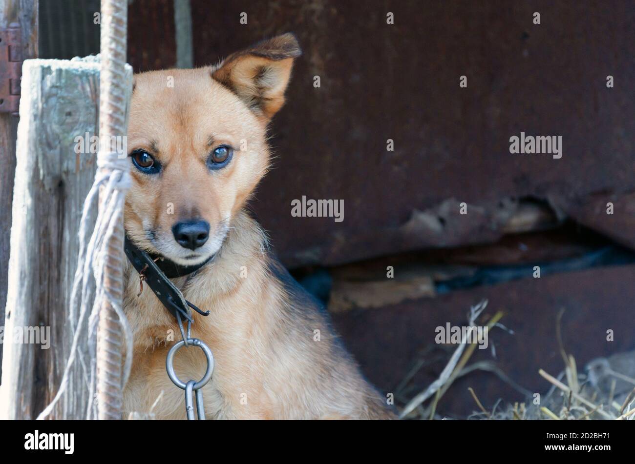 Chain of light hi-res stock photography and images - Alamy