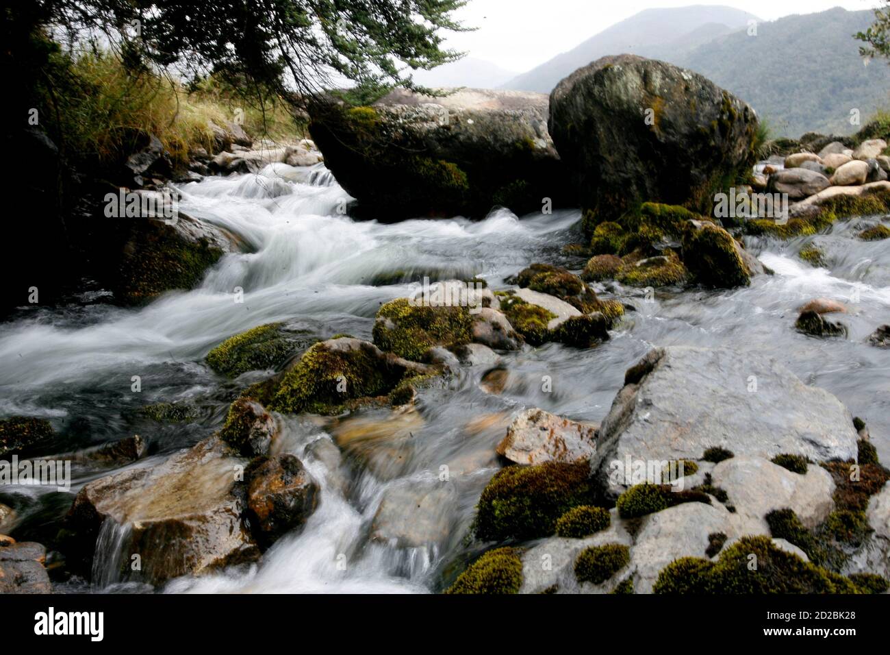 Chuza hi-res stock photography and images - Alamy