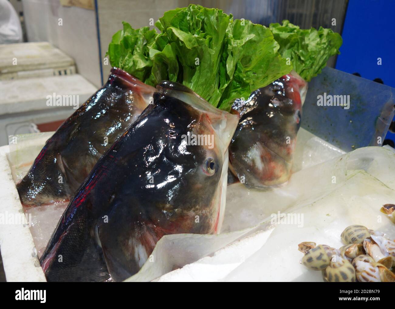 Hong kong fish head dish hi-res stock photography and images - Alamy