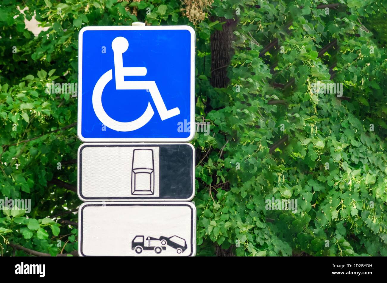 Road sign Parking for the disabled, sign the evacuation of the car ...