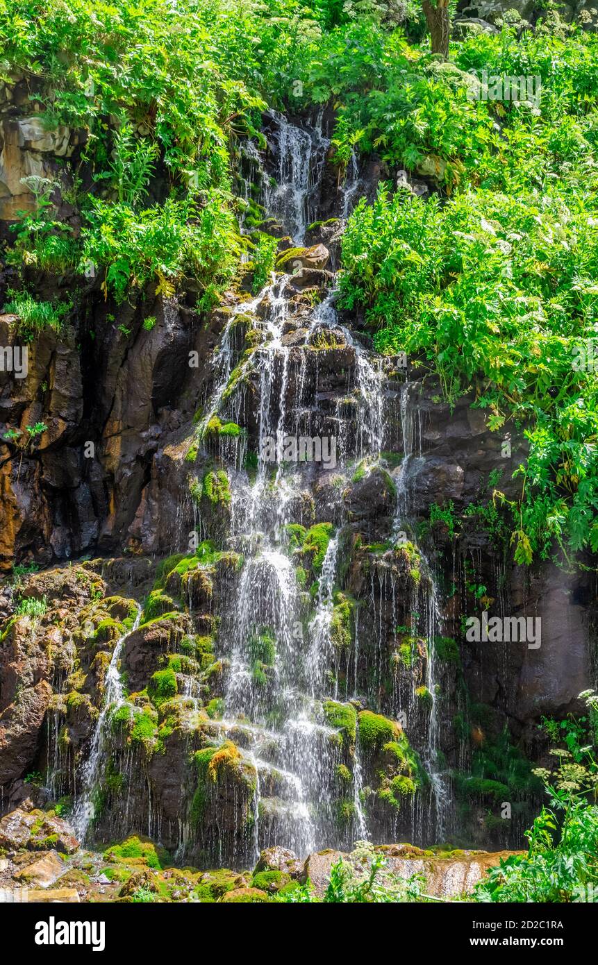 Dashbashi hi-res stock photography and images - Alamy