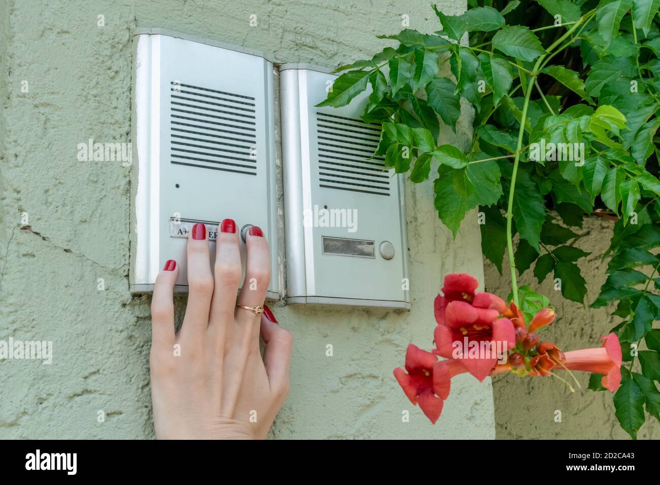 girl's hand is ringing a white intercom on the street on a sunny summer ...