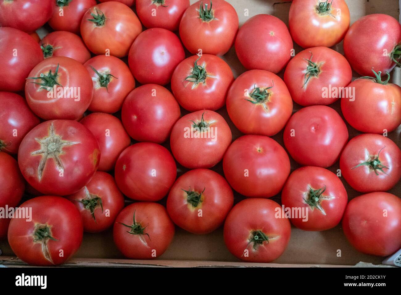 Lots of fresh and ripe tomatoes. Background of tomato Stock Photo - Alamy