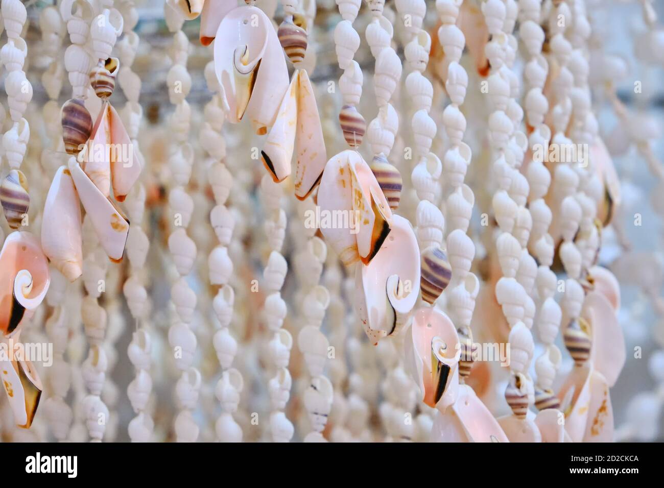 Background of the Arab chandelier of seashells, close-up. Texture of ...
