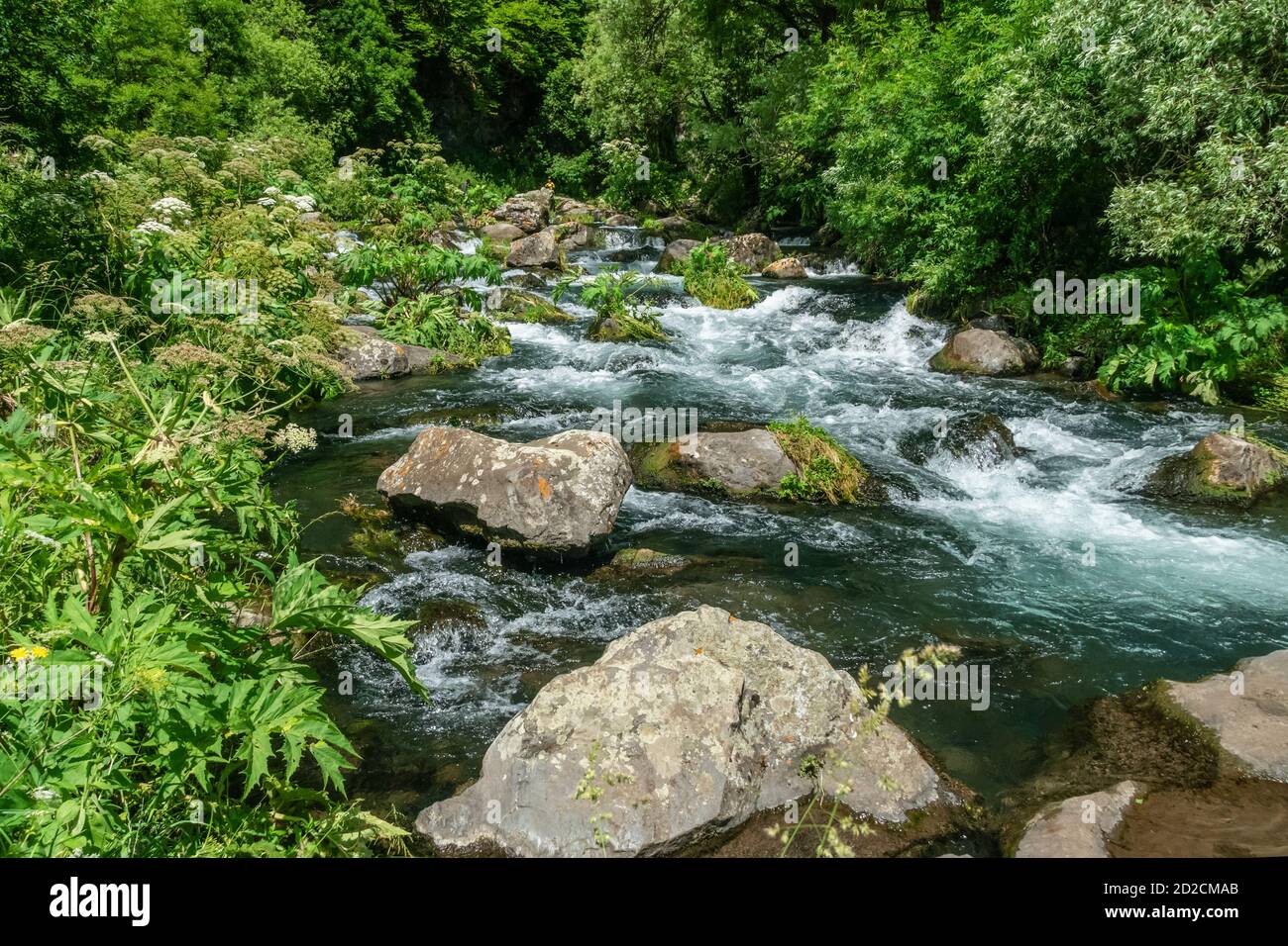 Dashbashi hi-res stock photography and images - Alamy