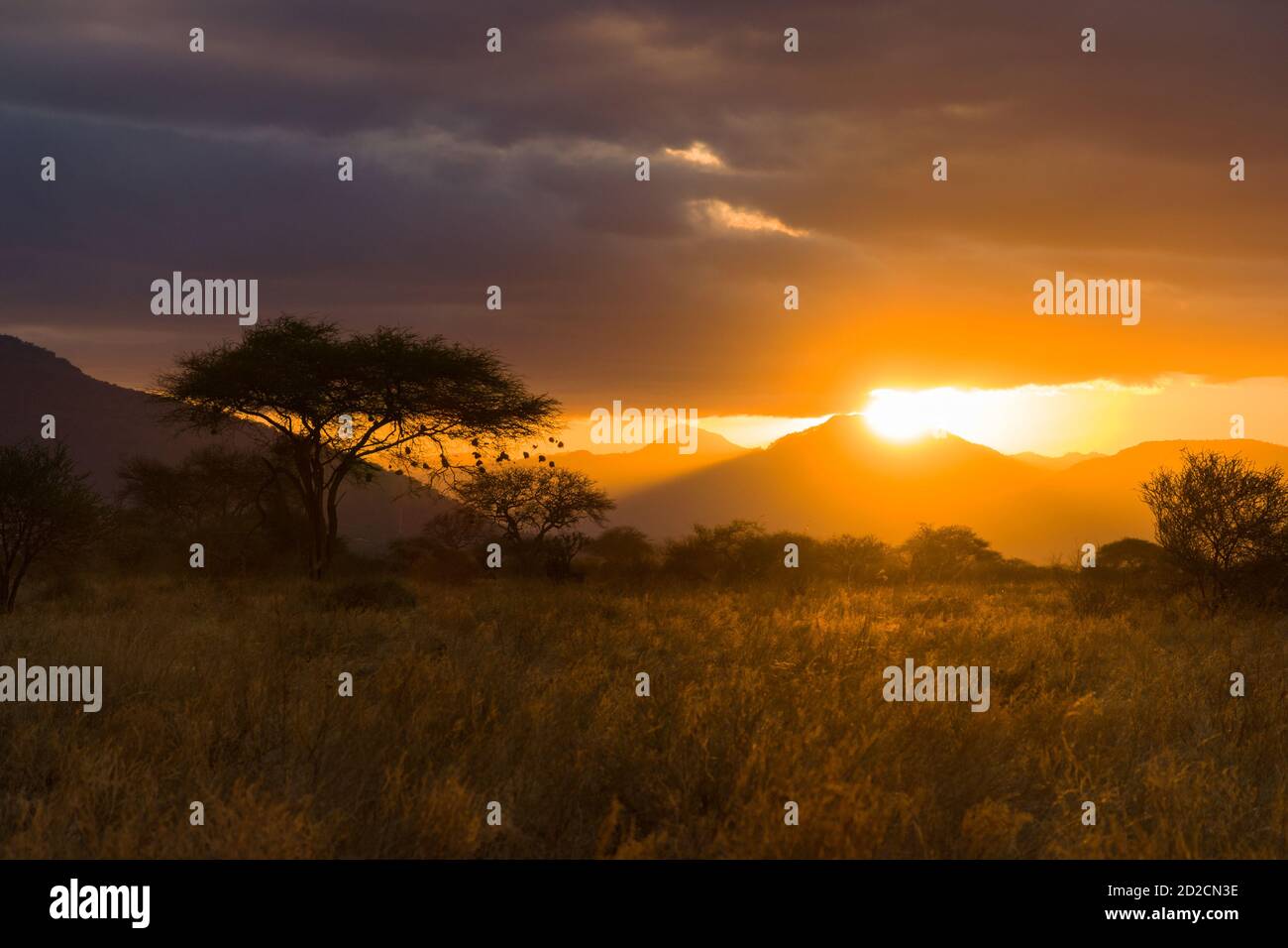 Sunset over Voi town and its hills from Tsavo game reserve, Kenya, East ...