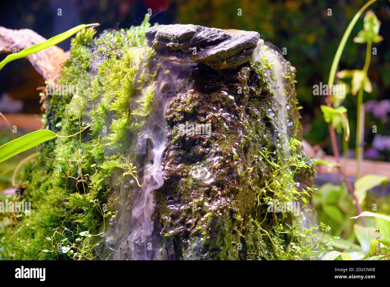 Decorative waterfall with green moss and grass on a slope Stock Photo ...