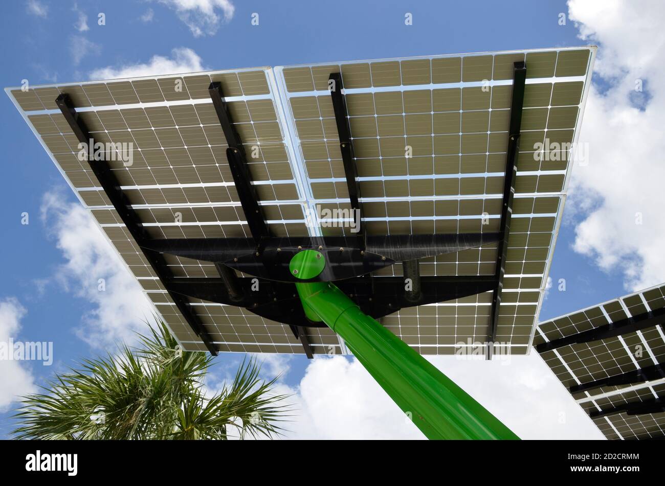 Solar tree hi-res stock photography and images - Alamy