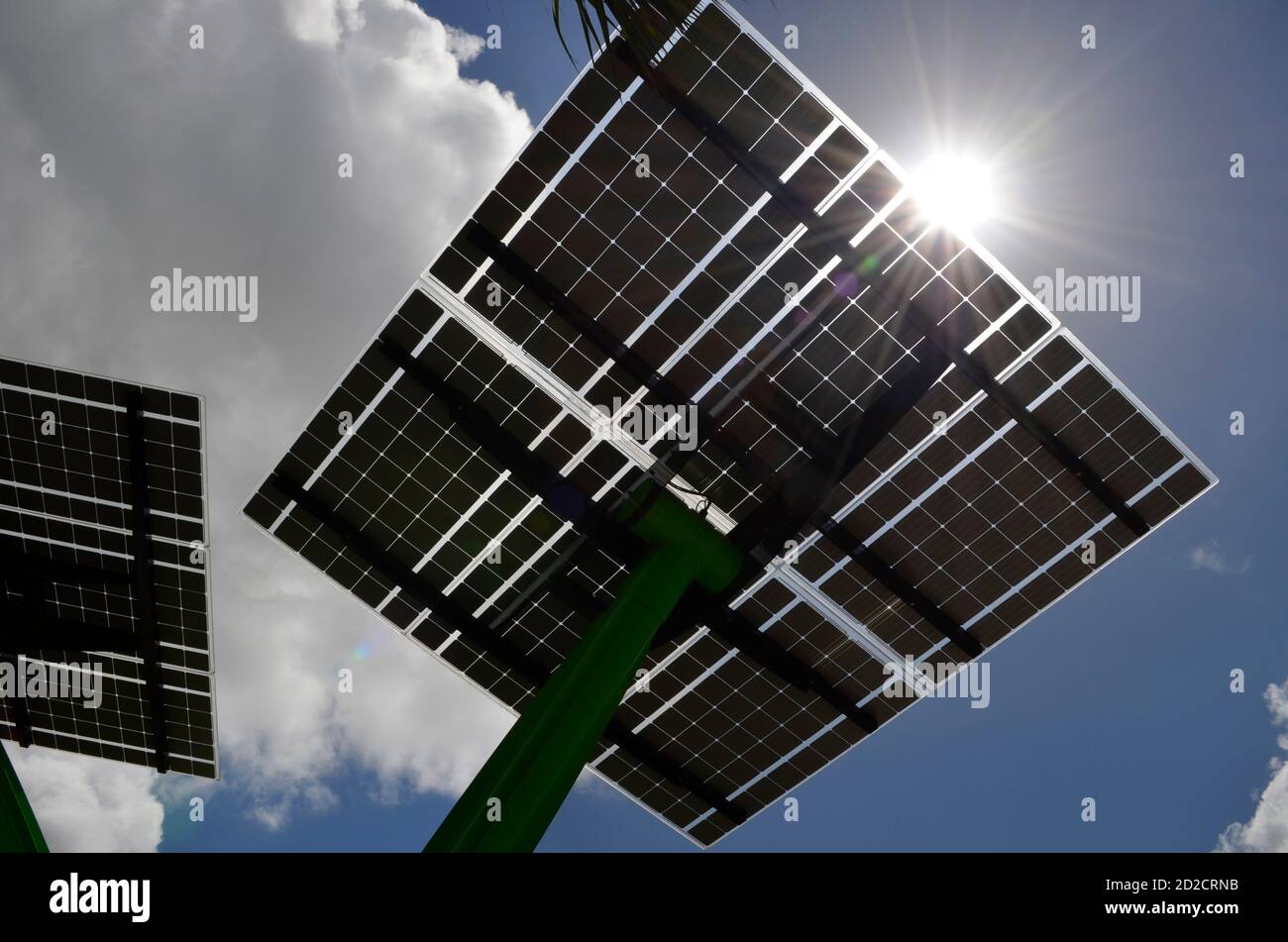 Solar tree hi-res stock photography and images - Alamy