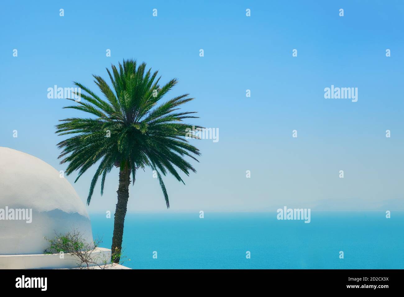 Sea, palm tree and round Arab house, copy space background. Sidi Bou ...
