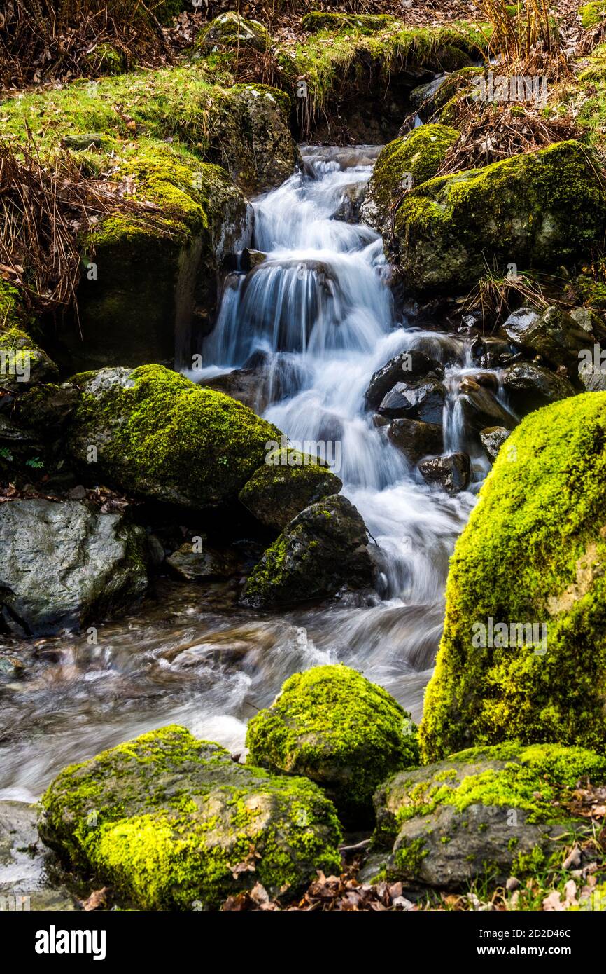 A stream gushes over a few rocks to create a mini waterfall Stock Photo ...