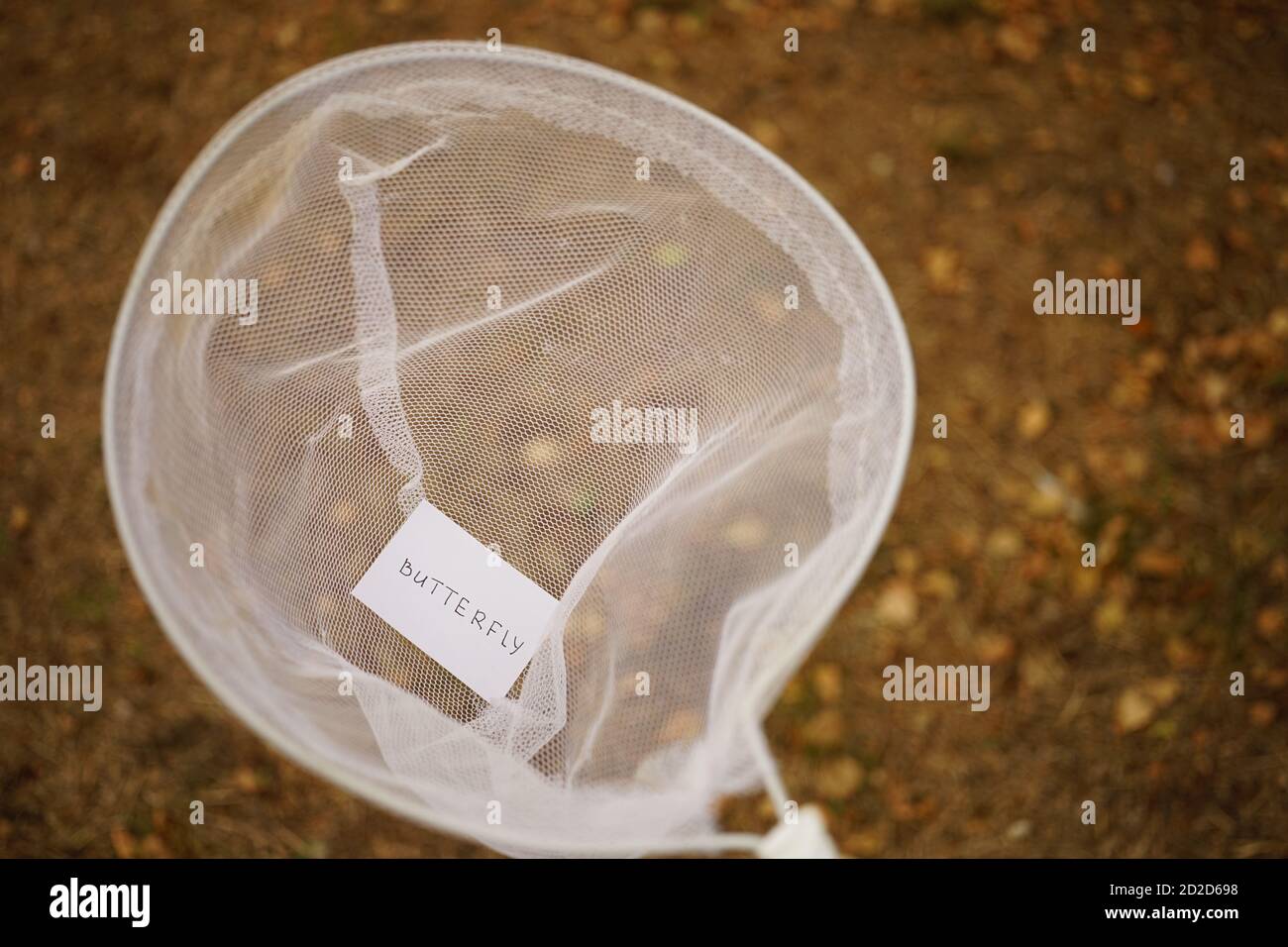 White butterfly net and a piece of paper with the text butterfly inside ...