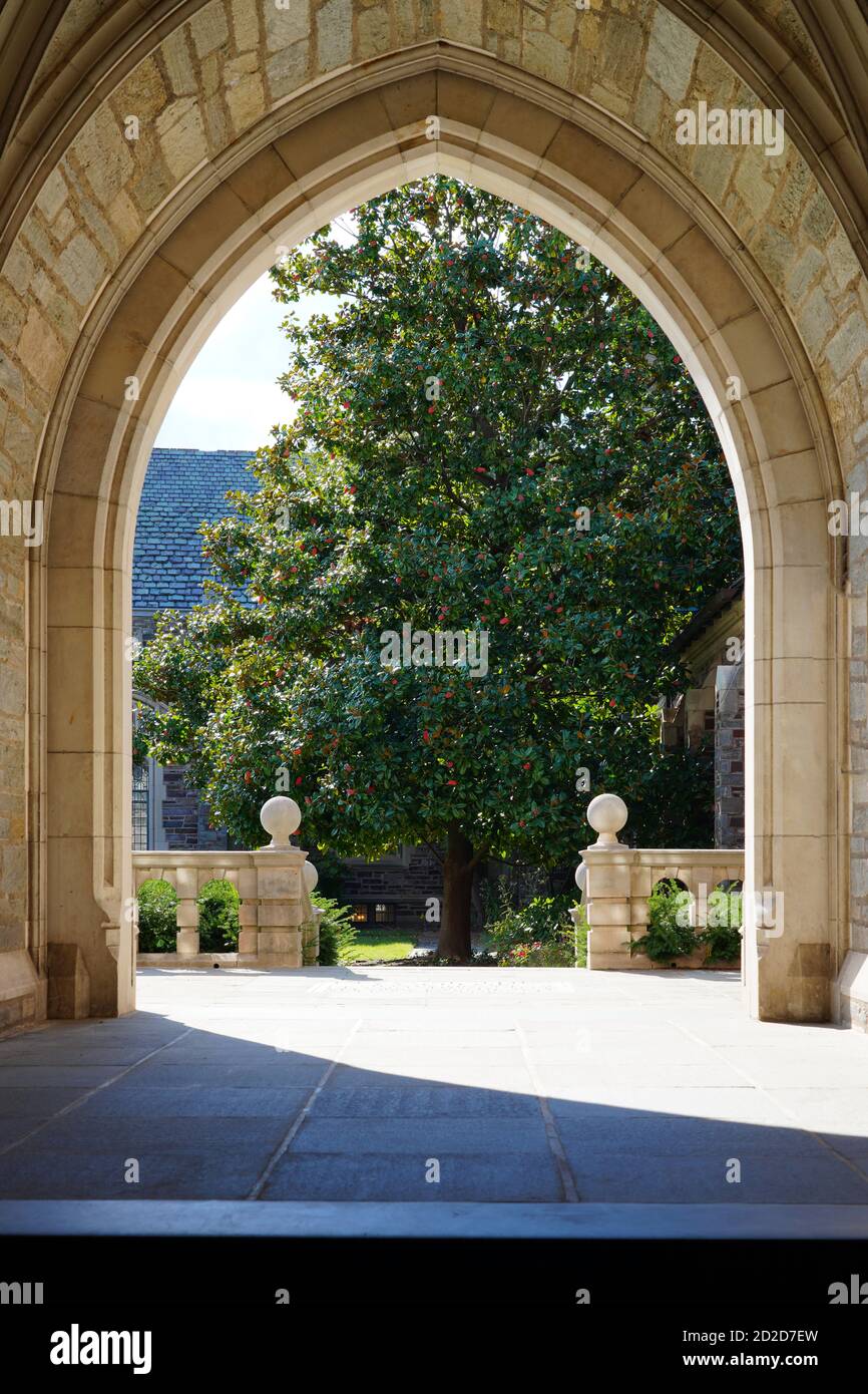 PRINCETON, NJ -30 SEP 2020- View of gothic arches at Rockefeller ...