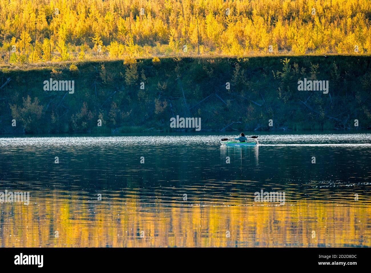 Kayaker, Talbot lake, Jasper National Park, Alberta, Canada Stock Photo ...