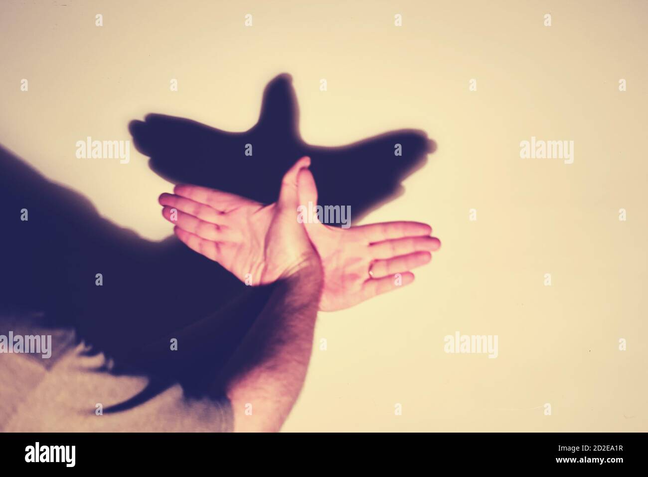 Hands shadow bird hi-res stock photography and images - Alamy