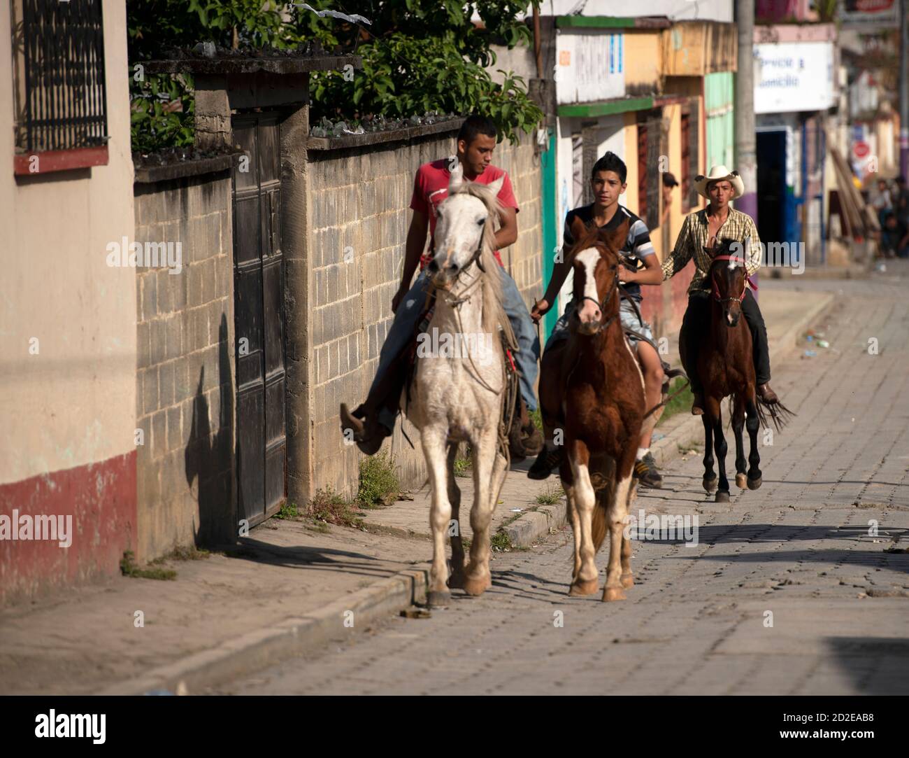 Indigenous Poqomchi' Maya cowboys ride through San Cristóbal Verapaz on ...
