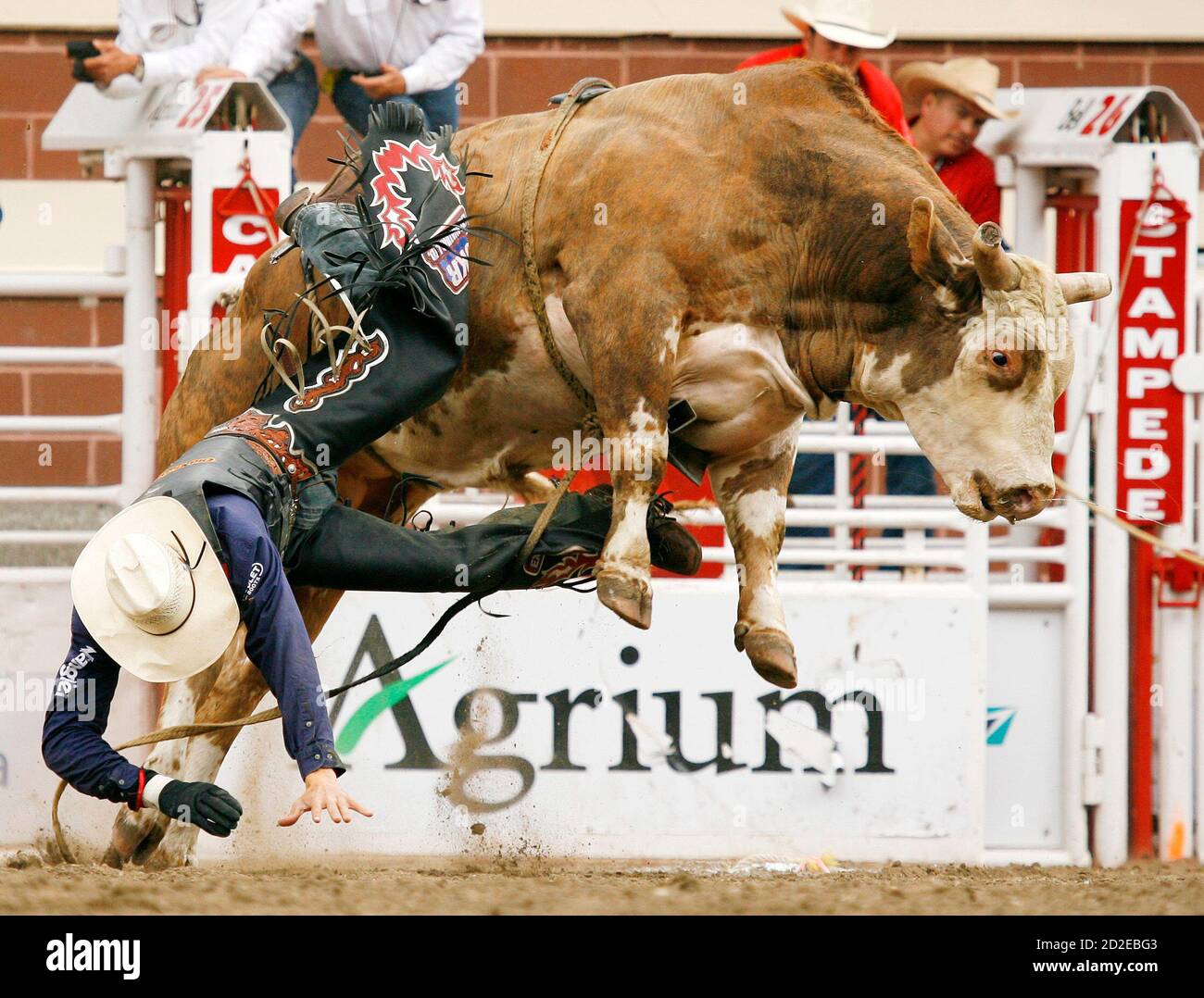 Yellowgrass hi-res stock photography and images - Alamy