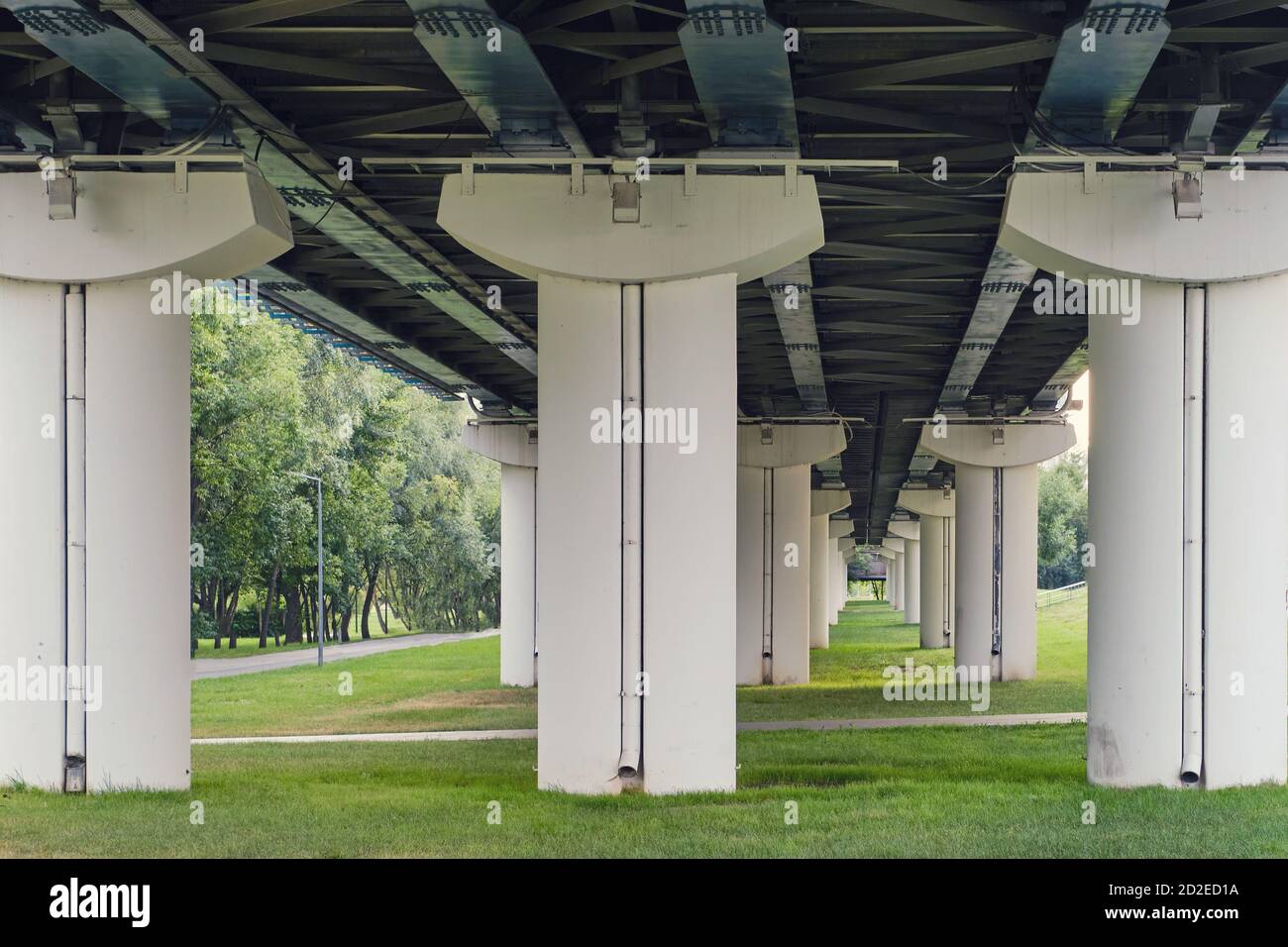 Three columns of the metro bridge, bottom view Stock Photo - Alamy