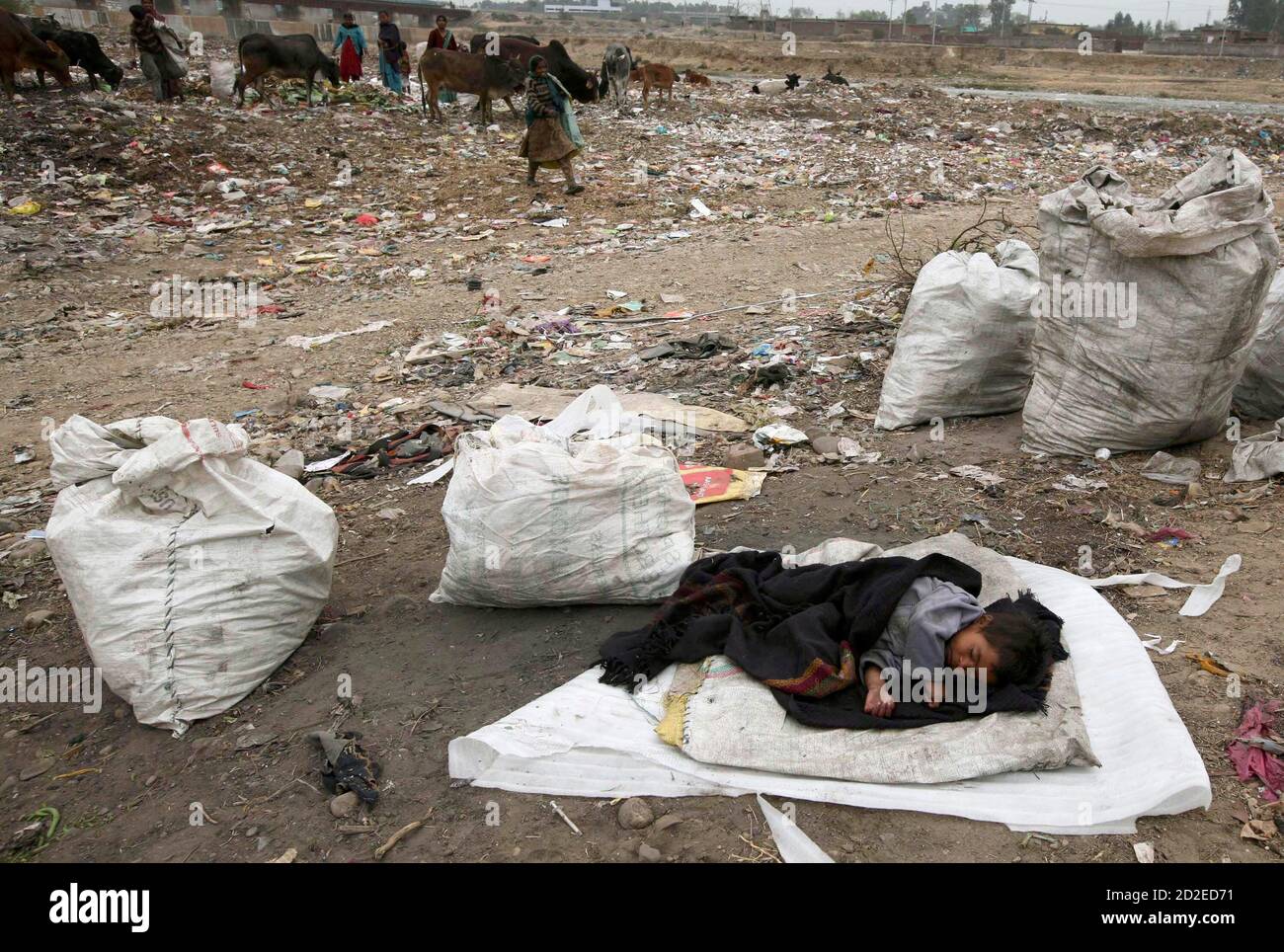 India Waste Picker High Resolution Stock Photography and Images - Alamy