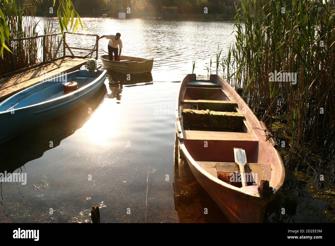Snagov Lake, Romania. Traditional rowboats by the shore. Man mooring ...