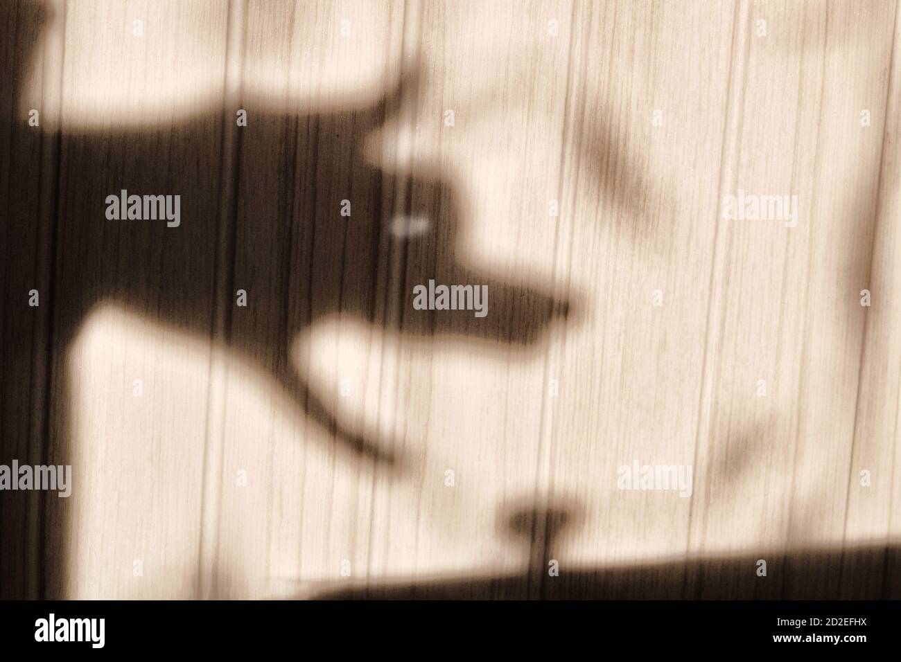 Hands shadow in form dog hi-res stock photography and images - Alamy