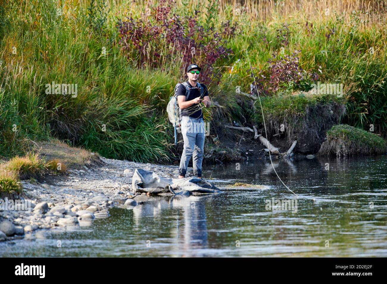 Fly fisherman along Bow River, Fish Creek Provincial Park, Calgary ...