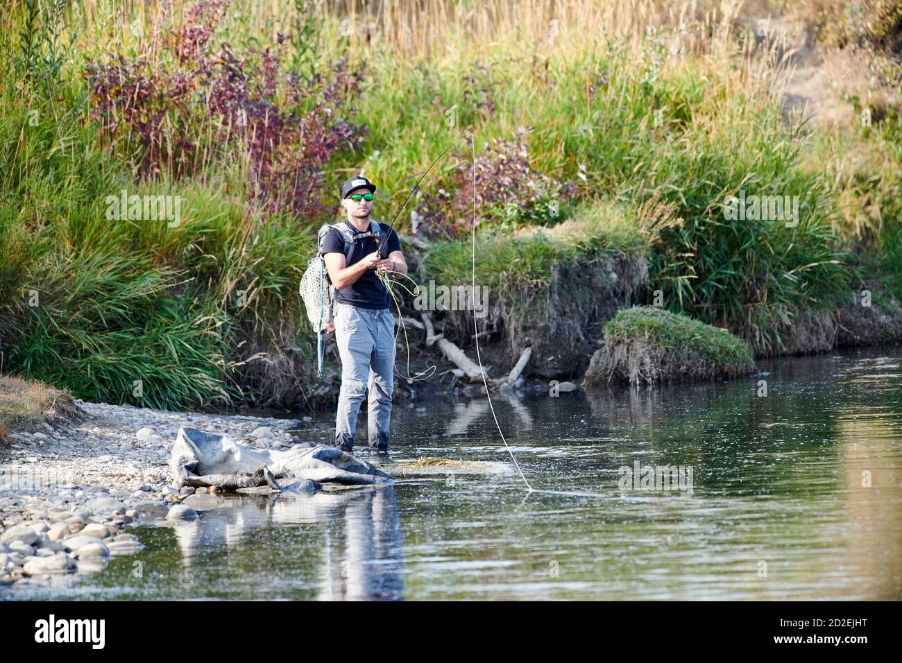Fly fisherman along Bow River, Fish Creek Provincial Park, Calgary ...
