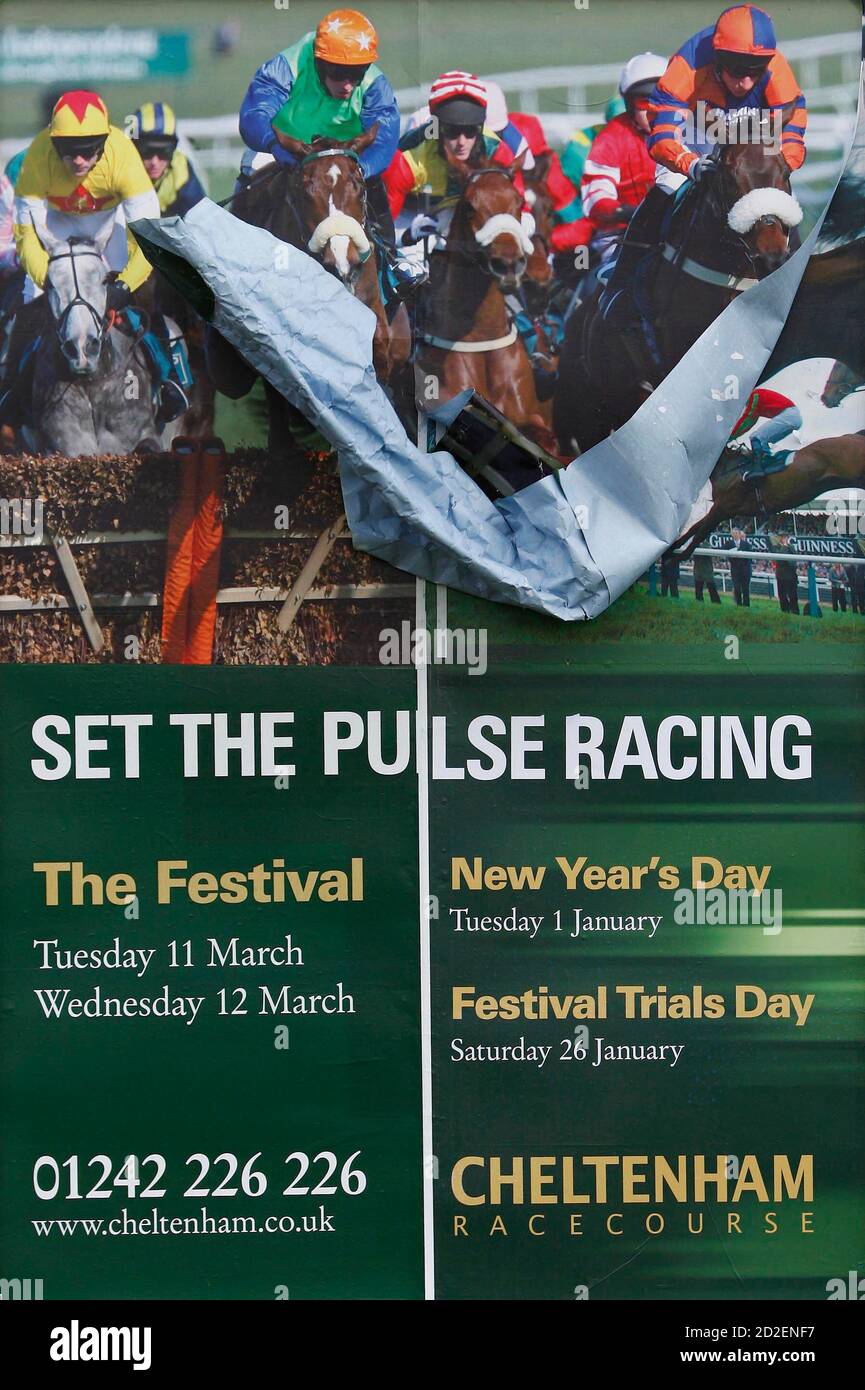 Cheltenham racing poster hi-res stock photography and images - Alamy