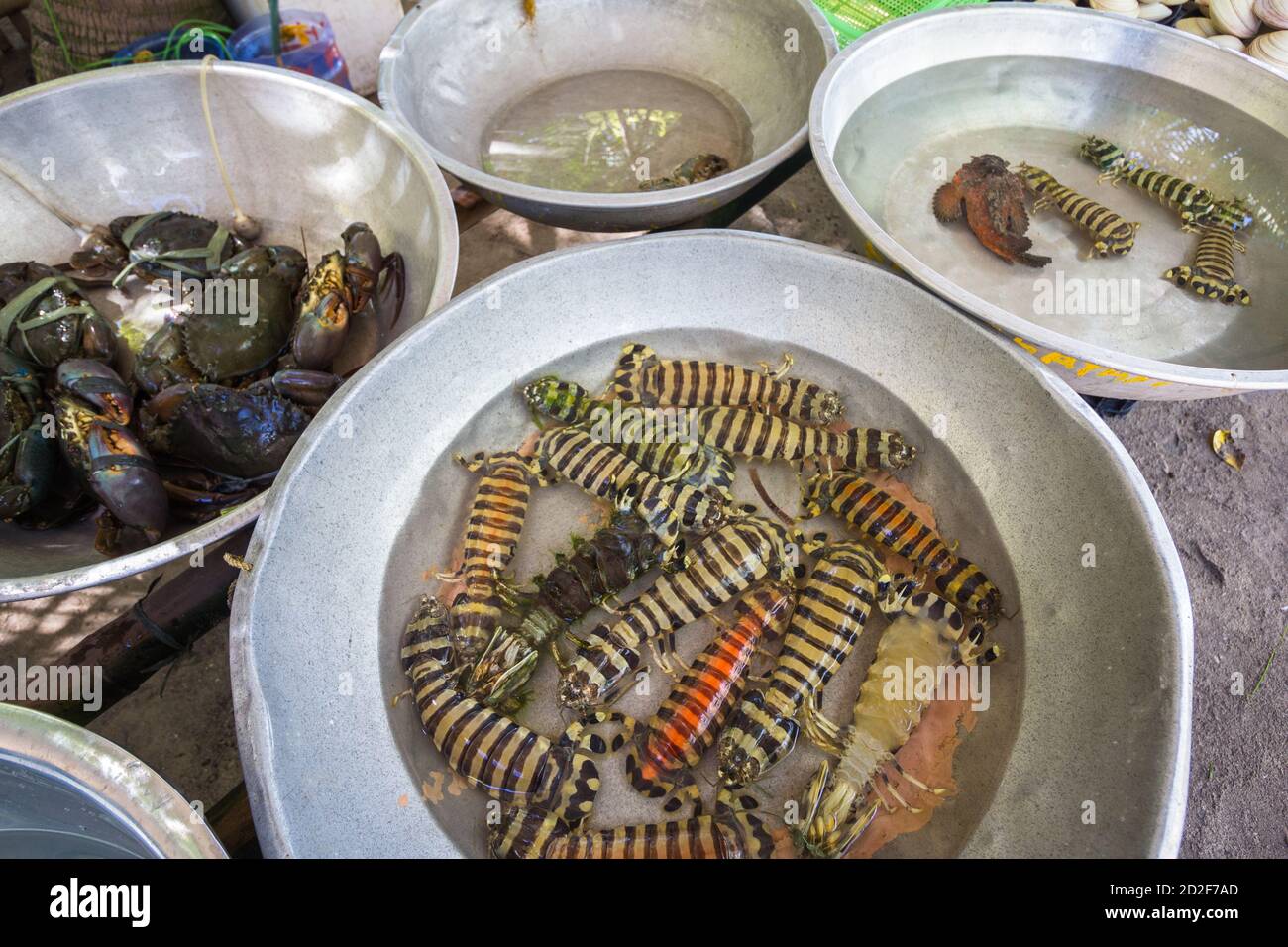 Live shellfish and seafood at a market stall Stock Photo - Alamy