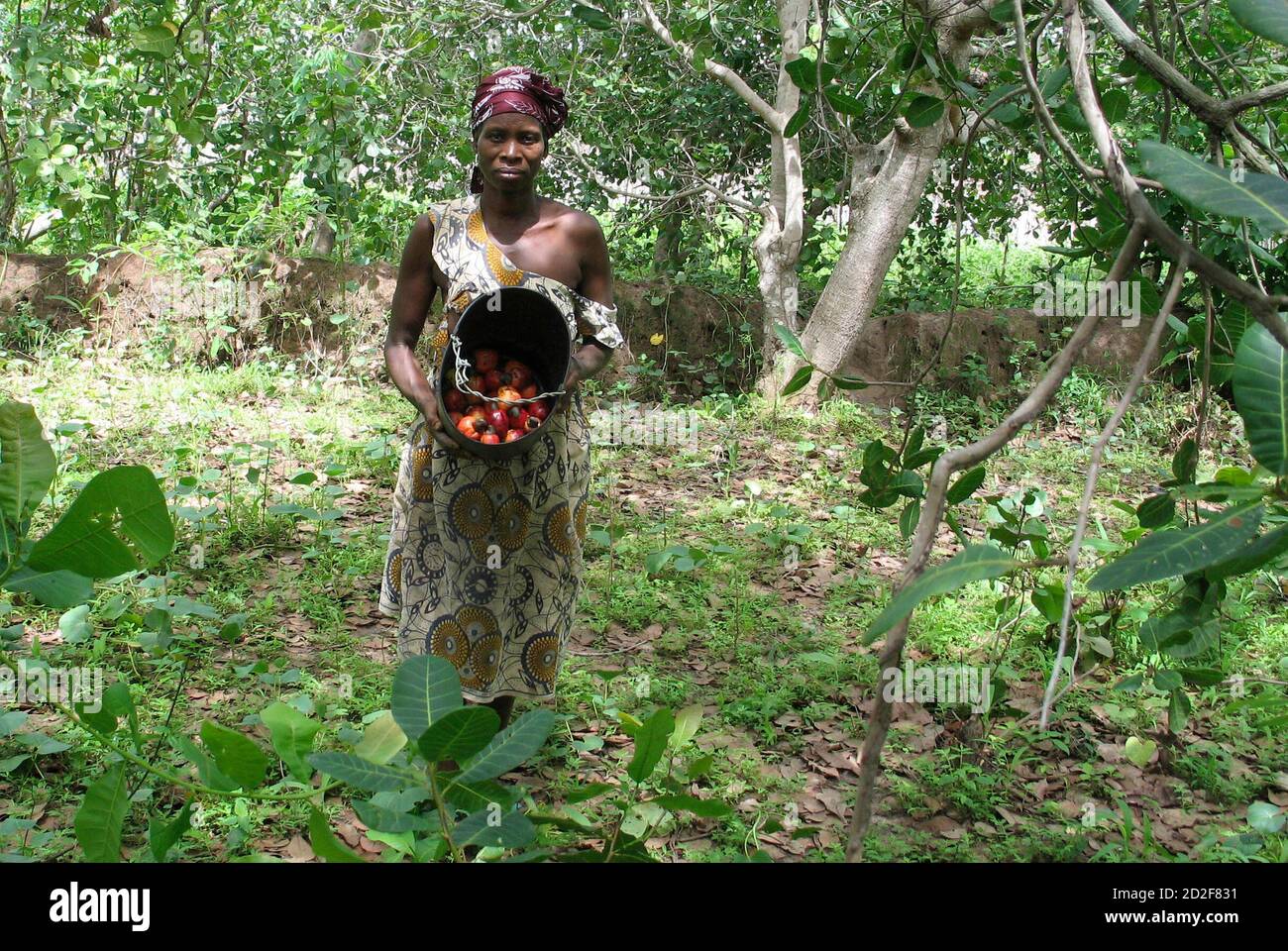 Biombo hi-res stock photography and images - Alamy