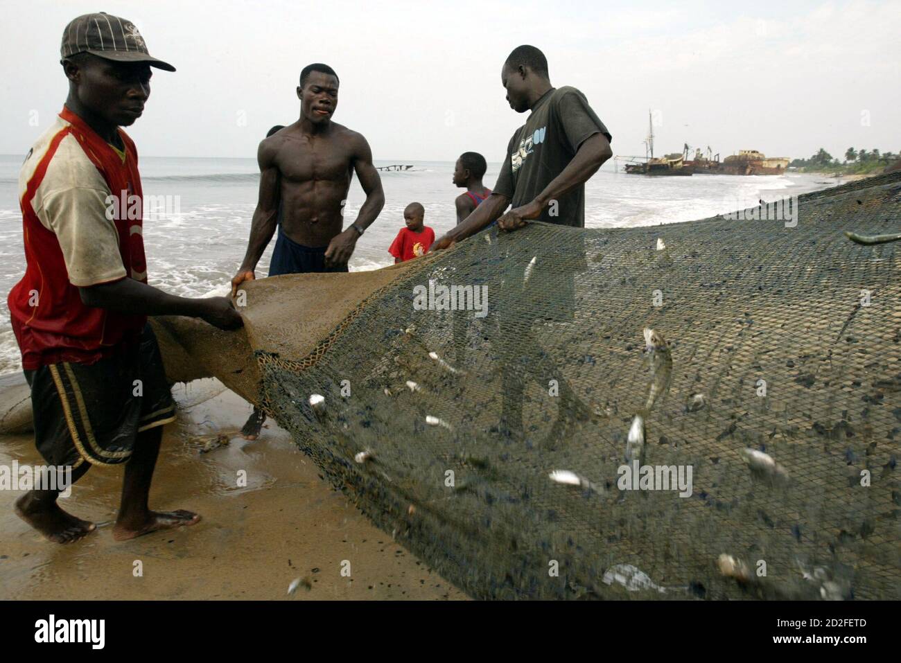 Liberia fish hi-res stock photography and images - Alamy