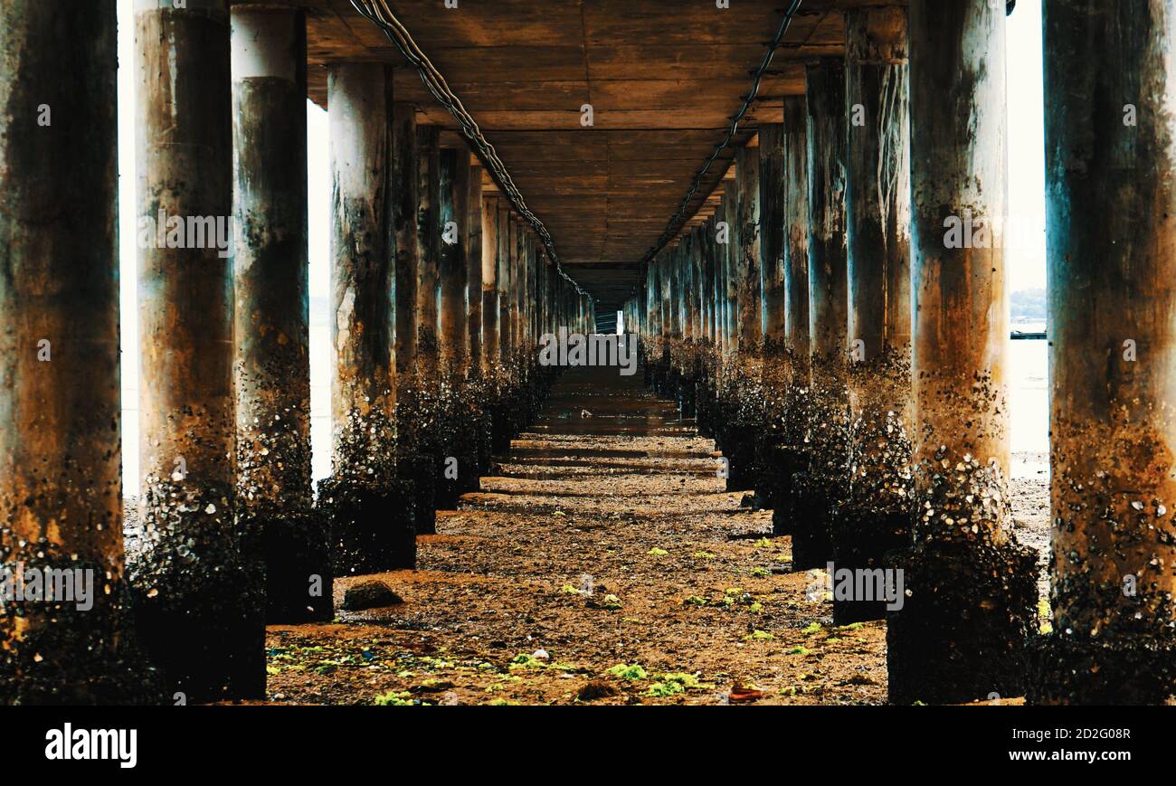 View of pier poles at low tide on the beach Stock Photo - Alamy