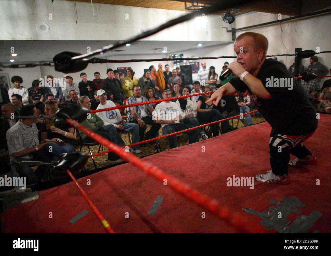 Half pint brawlers hi-res stock photography and images - Alamy