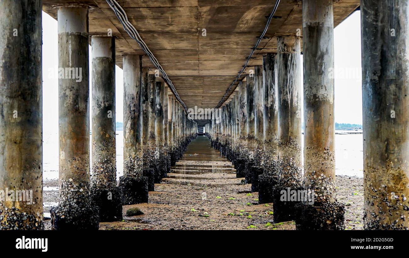 View of pier poles at low tide on the beach Stock Photo - Alamy
