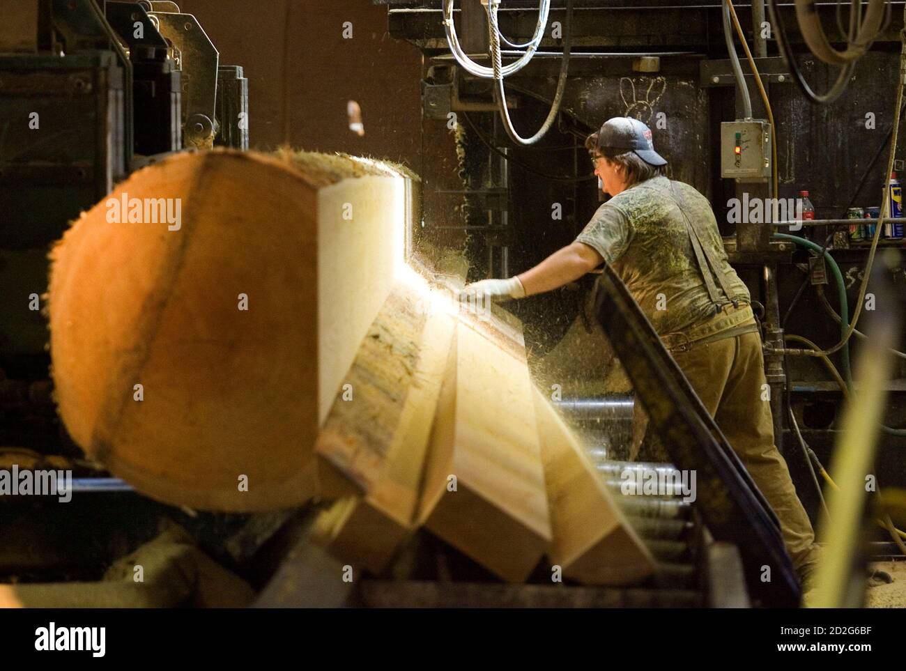 Timber producer hi-res stock photography and images - Alamy