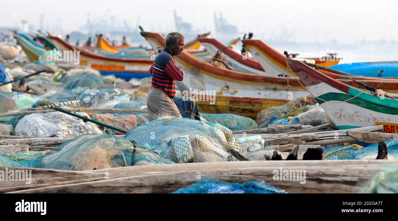 Chennai marina fish hi-res stock photography and images - Alamy