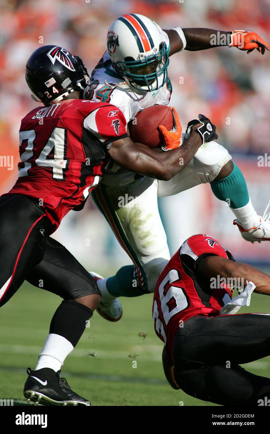 Falcons at dolphins hi-res stock photography and images - Alamy