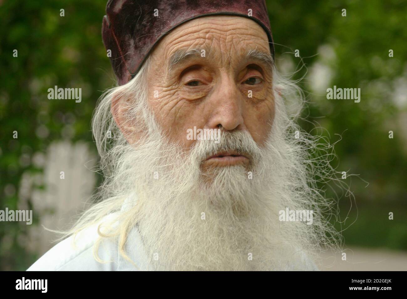 Portrait of old man with long white beard. Elderly monk at an Orthodox ...