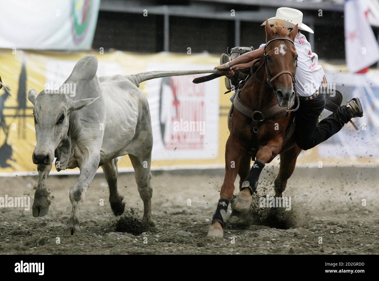 Rodeo cowboy pictures hi-res stock photography and images - Alamy
