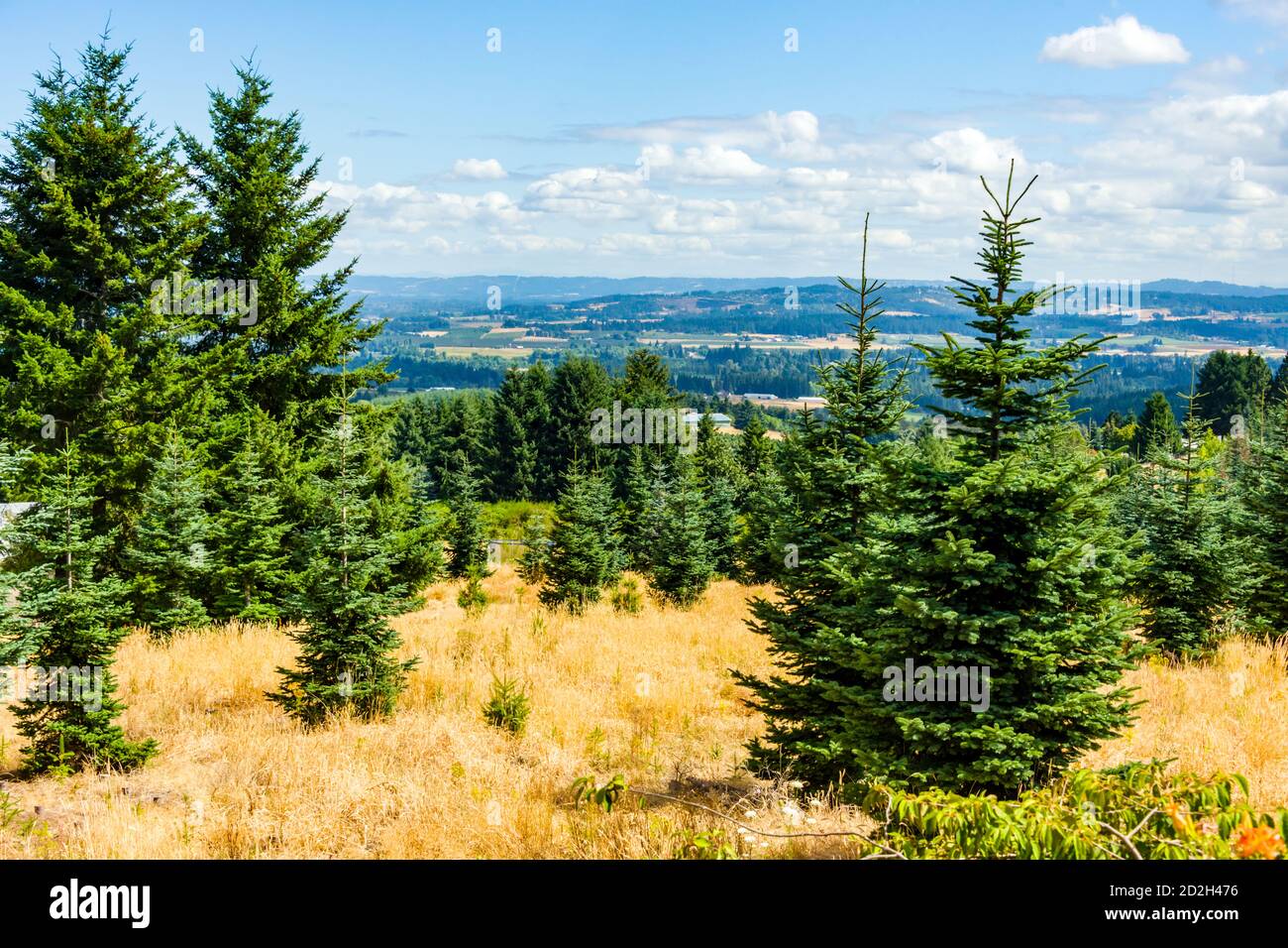 Oregon, Portland, Spectacular View Stock Photo - Alamy