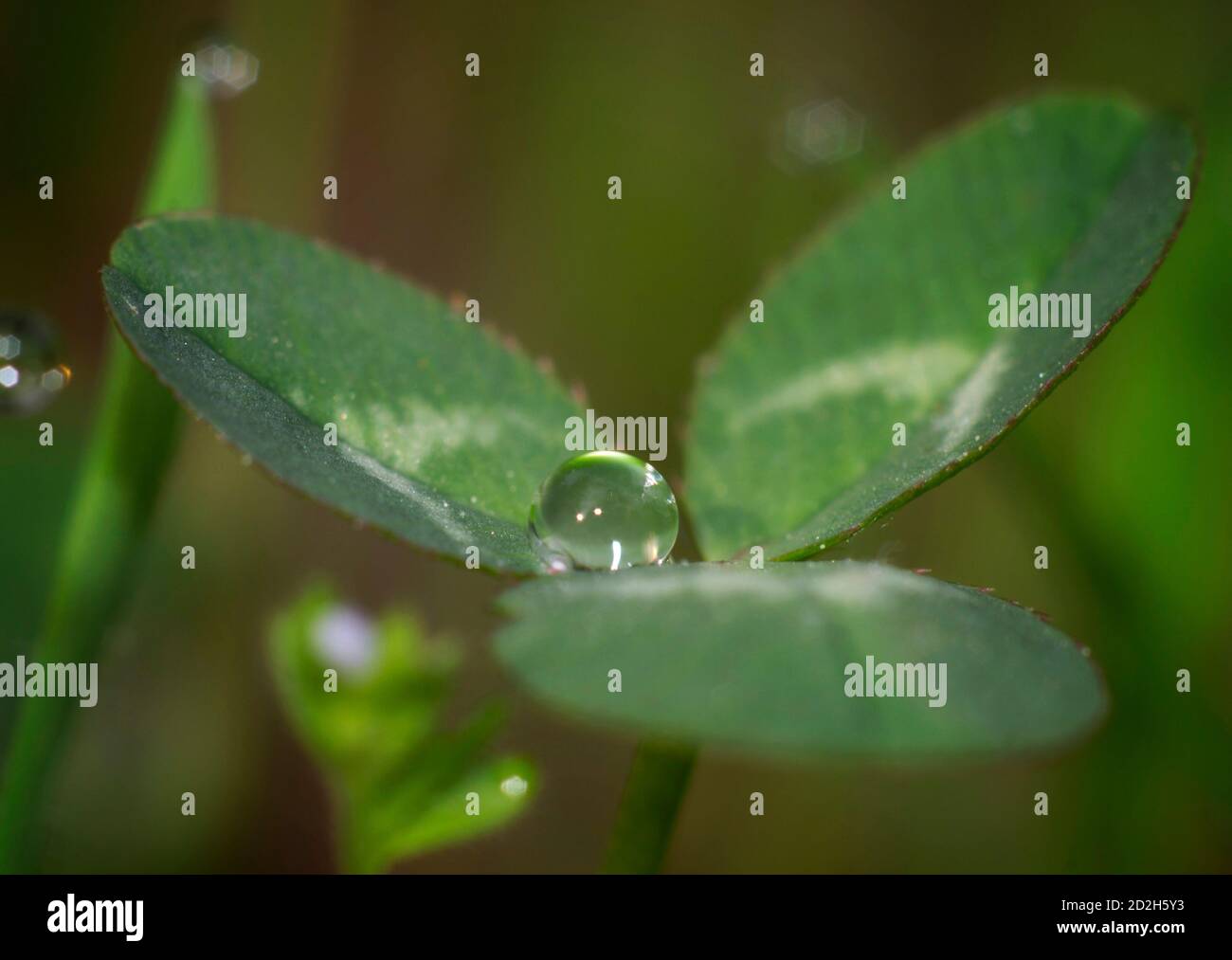 Raindrop symbol hi-res stock photography and images - Alamy