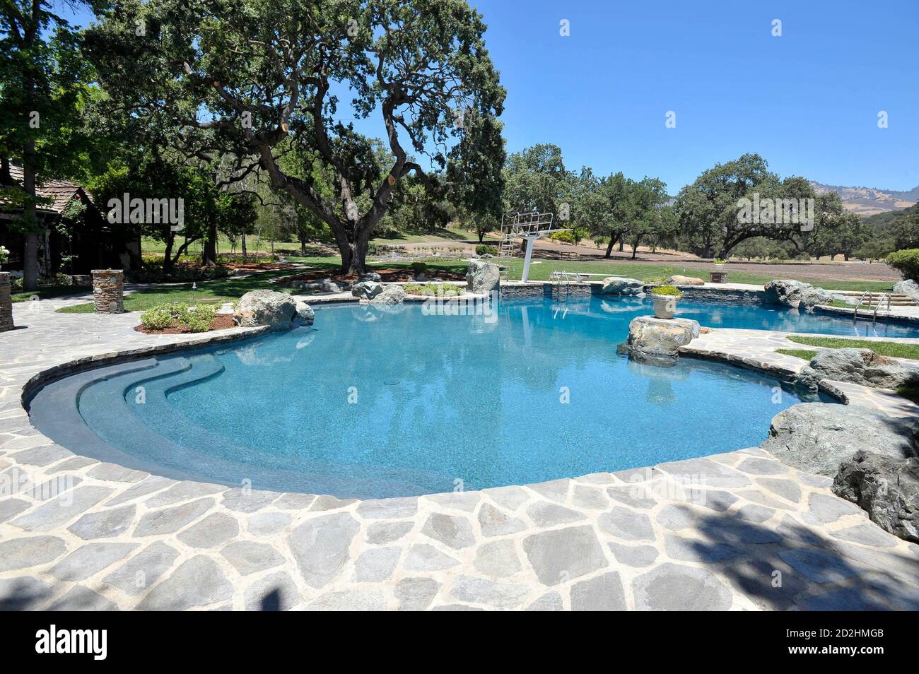 Michael Jackson Pool