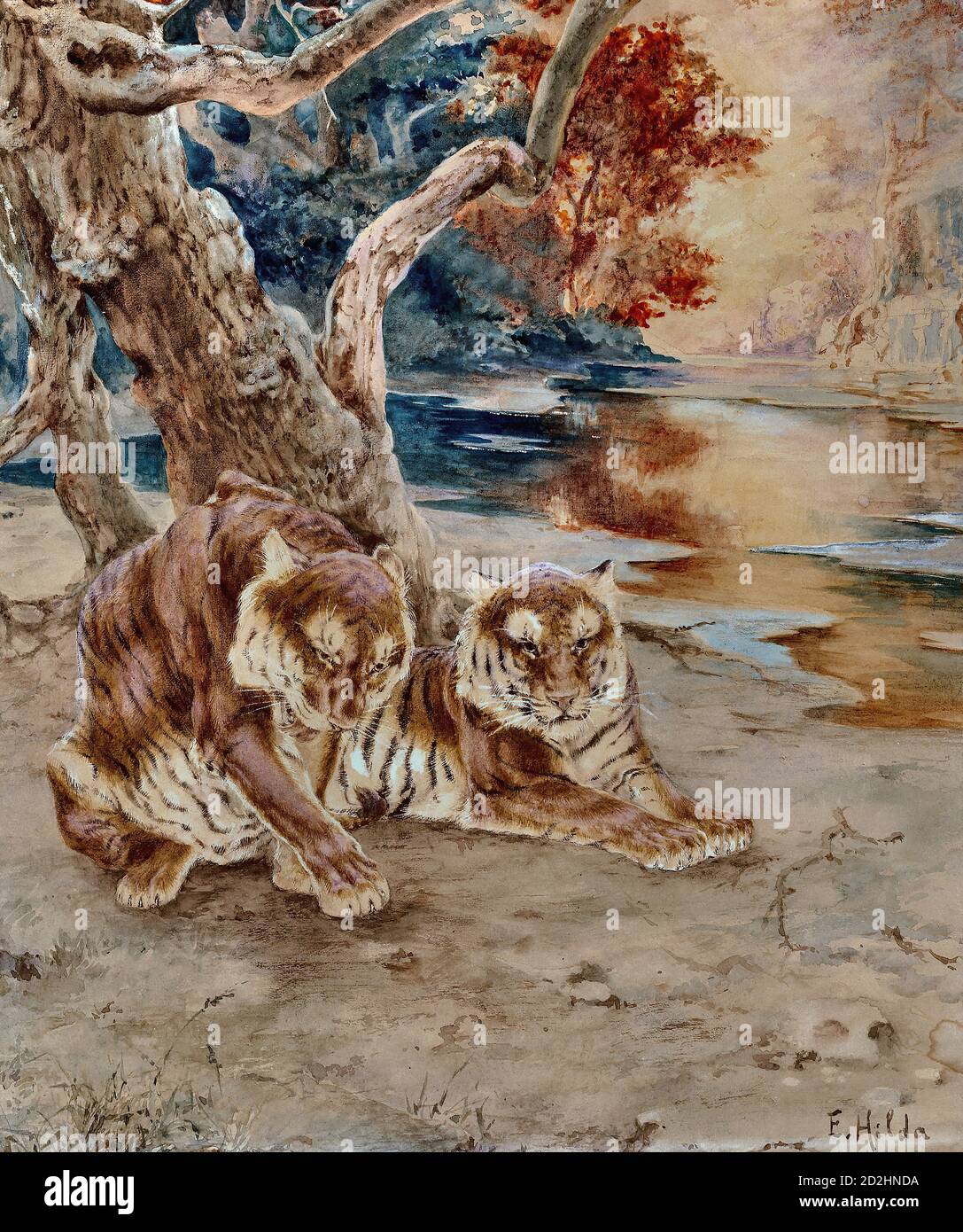 Baily-Ernst Hilda - a Pair of Tigers Resting Under a Tree - Austrian ...